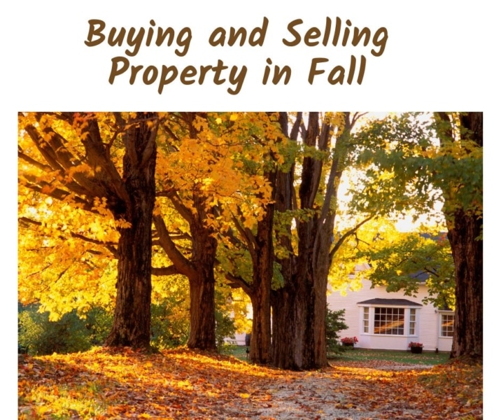 Why Fall can be the Best Time to Sell and Buy Property - B.I.C. Realty